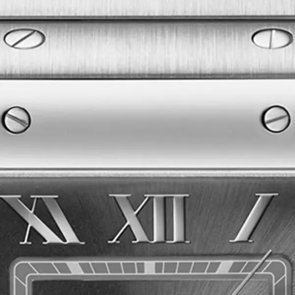 Cartier Santos De Dual Time Watch