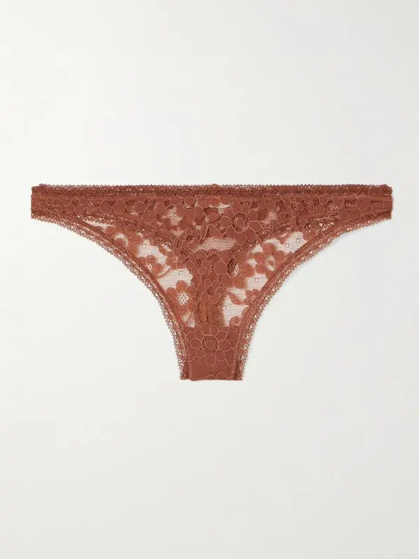 ERES Marguerite Prairie Stretch-corded Lace Briefs - Brown