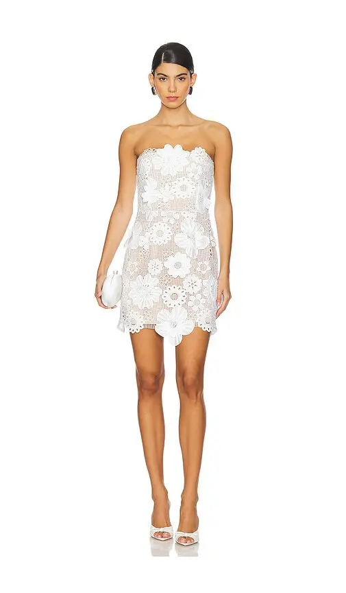 ELLIATT Lace Floral Mini Dress - Ivory