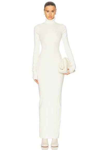 Eterne Long Sleeve Turtleneck Maxi Dress