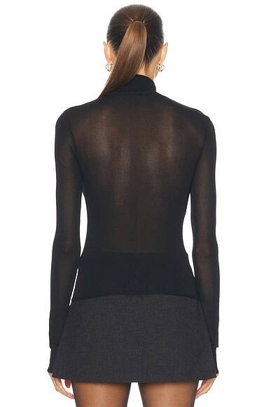 EAVES Alexander Sheer Turtleneck Sweater