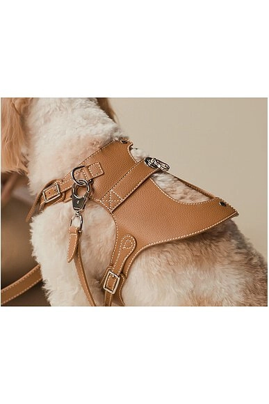 PAGERIE The Colombo Harness