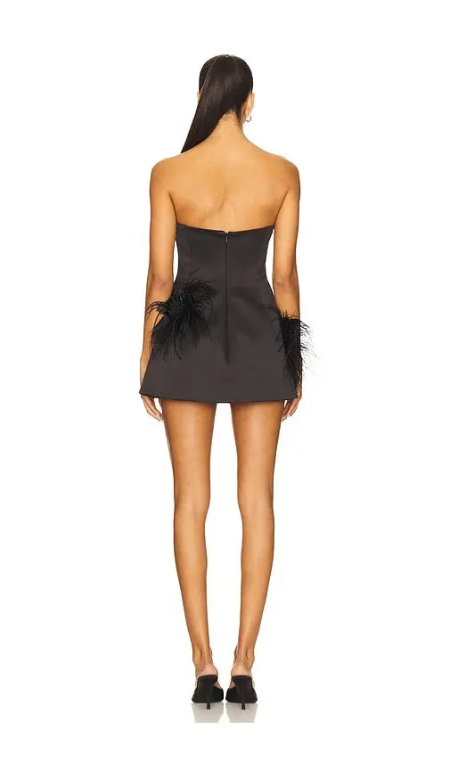 Delfi Feather Embellished Mini Dress
