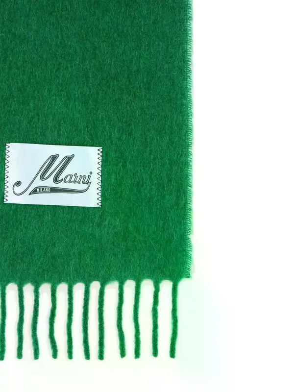 Marni Brushed Alpaca-blend Scarf With Fringes - Green