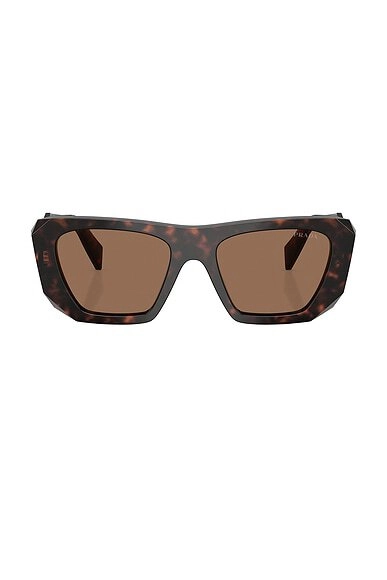 Prada Square Frame Sunglasses - Root Tortoise