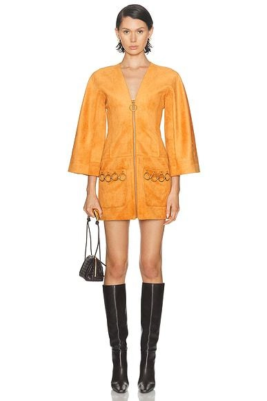 Alexis Anesa Dress With Zipper Closure - Sienna