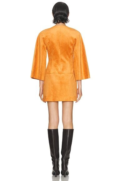 Alexis Anesa Suede Dress