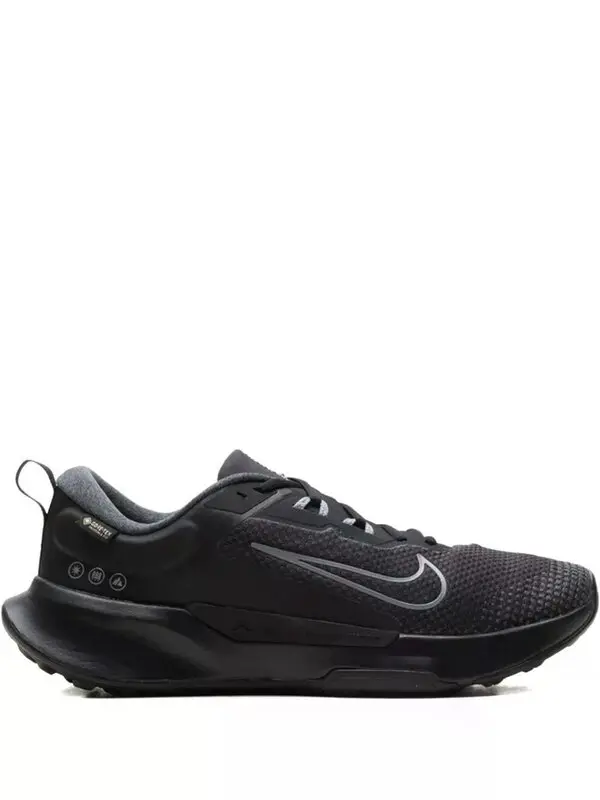 Nike Juniper Trail 2 Gore-tex Low-top Sneakers