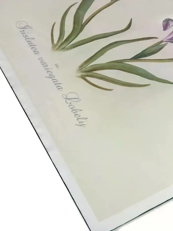 Alberta Ferretti Floral Silk Scarf - Neutrals