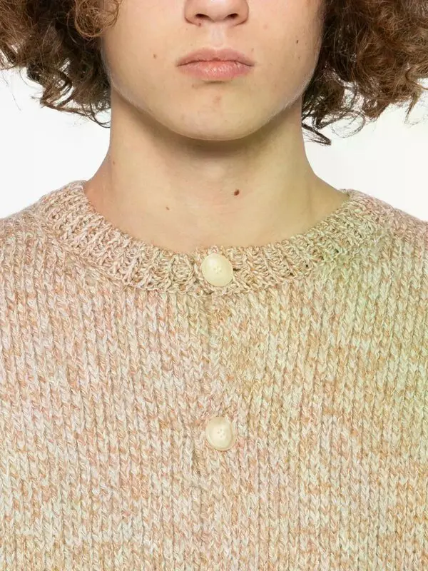 Auralee Gauge Crew-neck Cardigan