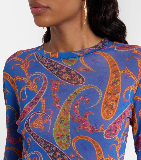 Etro Semi-sheer Velvet-trimmed Tulle Top