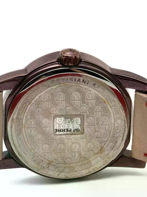 Gianfranco Ferre Steel Logo Dial Quartz Watch
