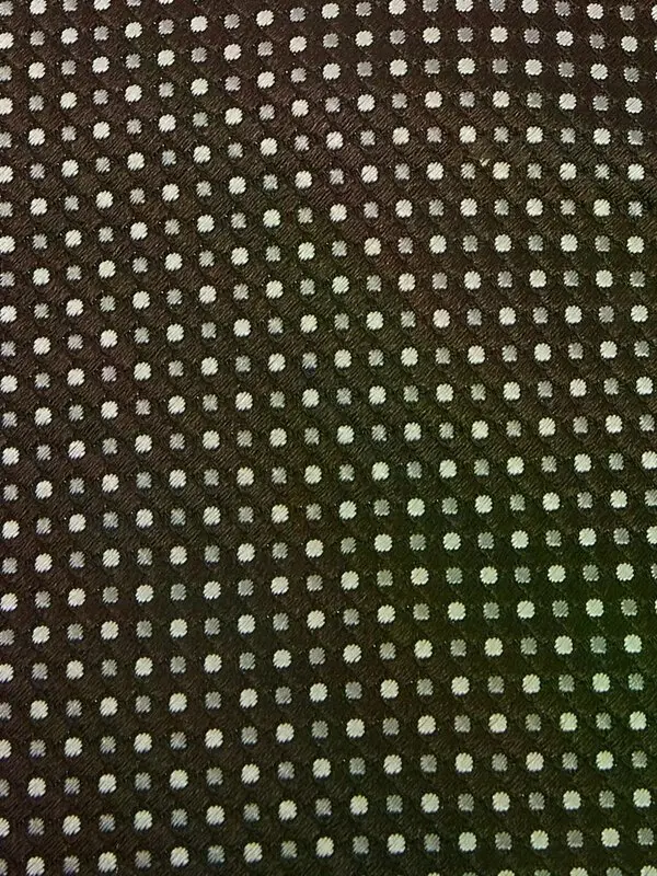 Ermenegildo Zegna Dot Pattern Silk Neck Tie