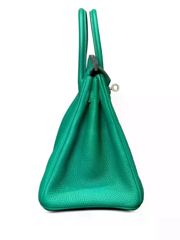 Hermès Birkin 25 Togo Palladium-hardware Tote Bag - Green