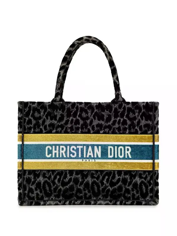 Dior Embroidered Canvas Mizza Book Tote Bag