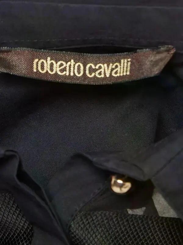 Roberto Cavalli Sheer Stripe Shirt