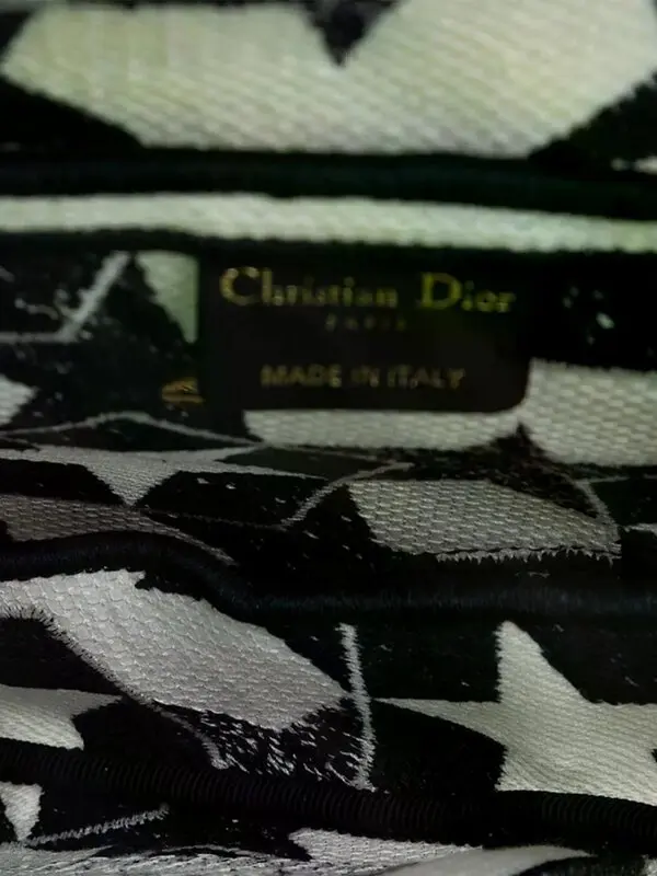 Dior Embroidered Canvas Stars Saddle Bag