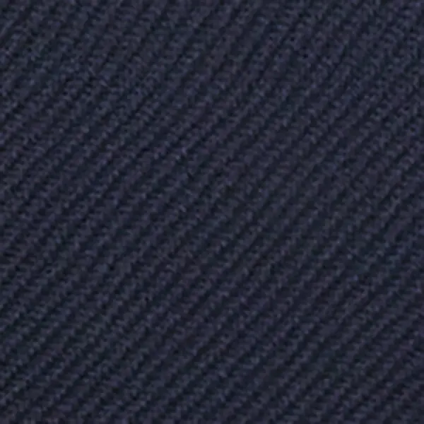 Brioni Cashmere Fringed Scarf - Blue