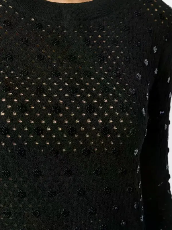 LOUIS VUITTON Pre-owned Sequined Open Knit Jumper