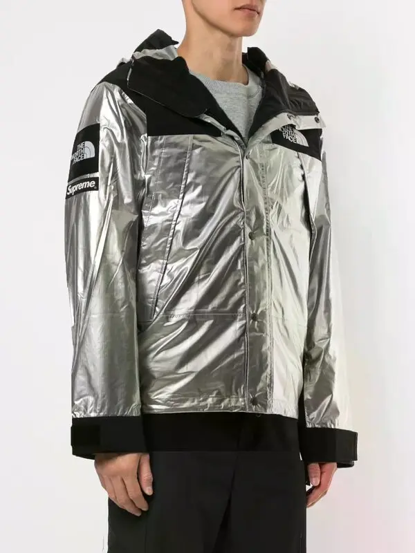 Supreme X The North Face Metallic Mountain Parka