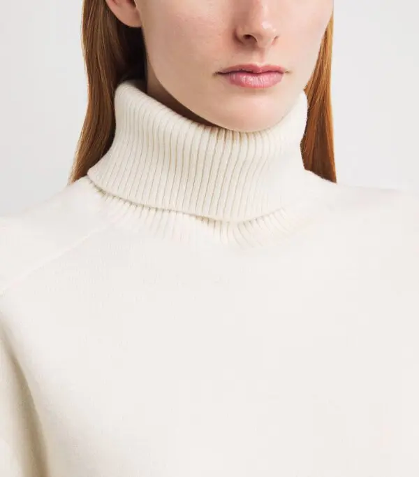 YVES SALOMON Merino Wool Rollneck Sweater