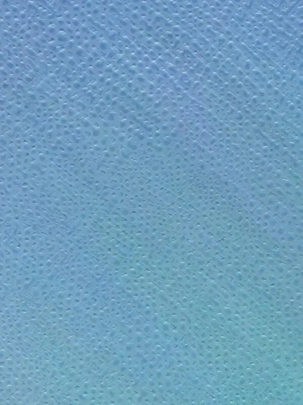 Smythson Leather Phone Cover - Blue