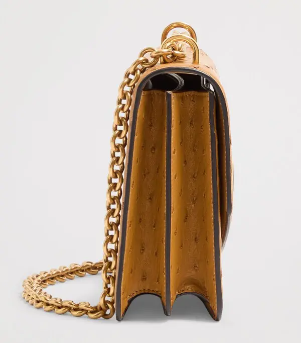 Valentino Garavani Ostrich Leather Vain Shoulder Bag