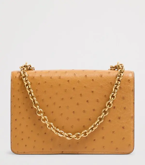 Valentino Garavani Ostrich Leather Vain Shoulder Bag