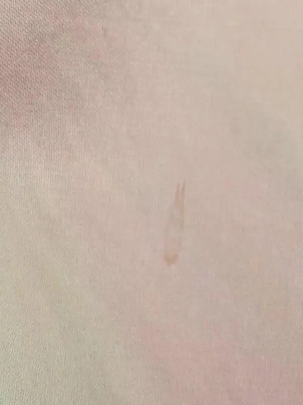 Chloé Satin Top