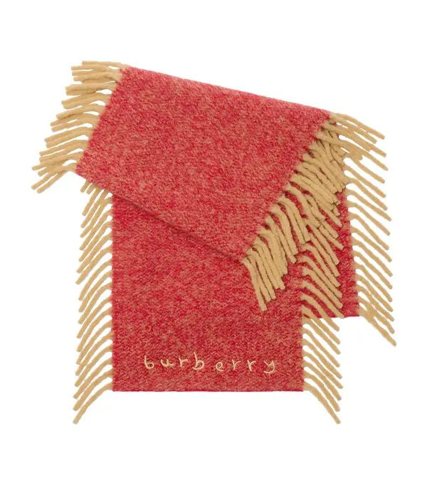 Burberry Alpaca Wool-blend Happy Scarf