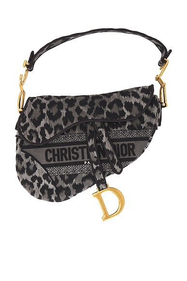 Dior Mizza Embroidered Saddle Bag