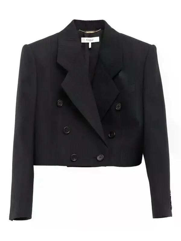Chloé Spencer Striped Button Blazer