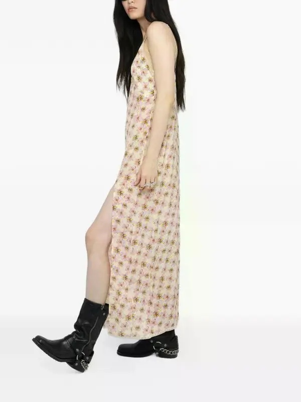 Zadig&Voltaire Ramelil Floral-pattern Maxi Dress - Neutrals