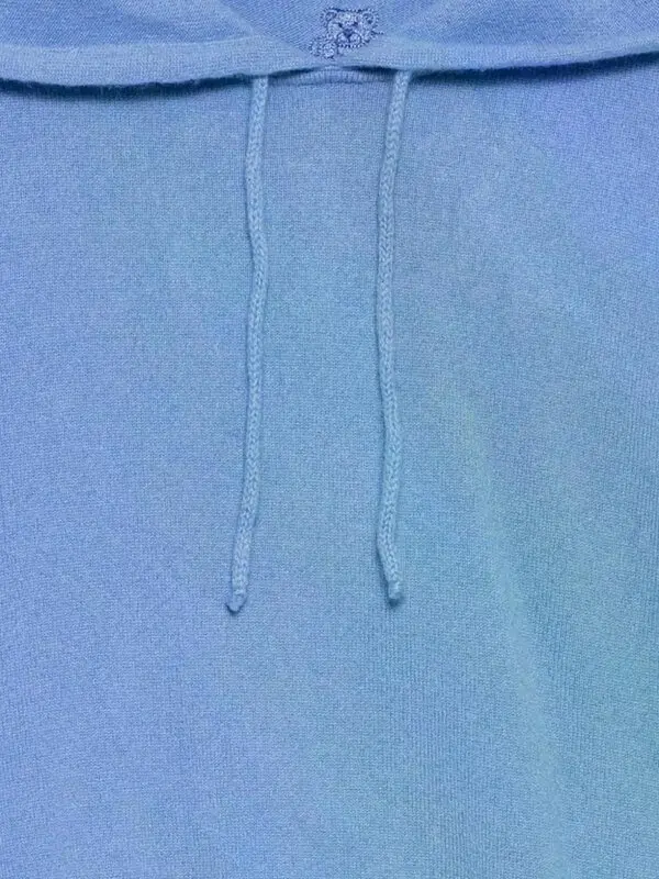 TEDDY CASHMERE Logo-embroidered Hoodie - Blue