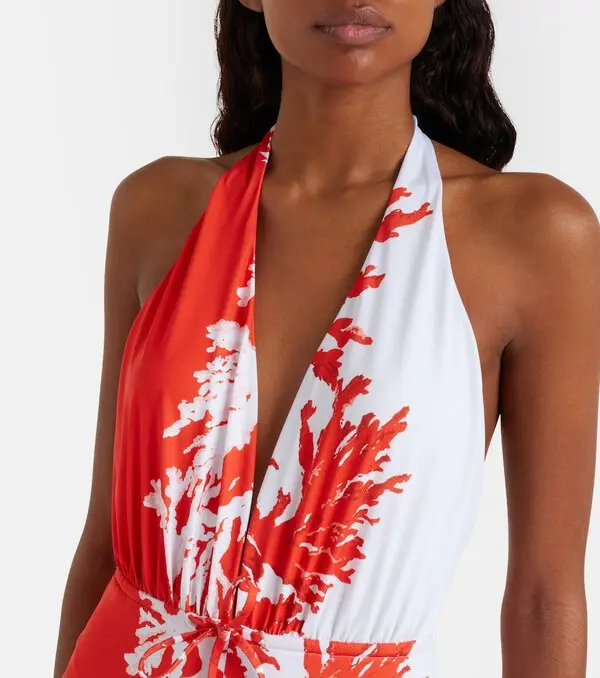 ALEXANDRA MIRO Willow Printed Halterneck One-piece Swimsuit