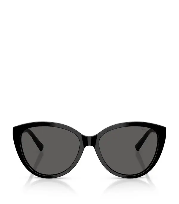 Tiffany & Co. Acetate Cat Eye Tf4251 Sunglasses - Black