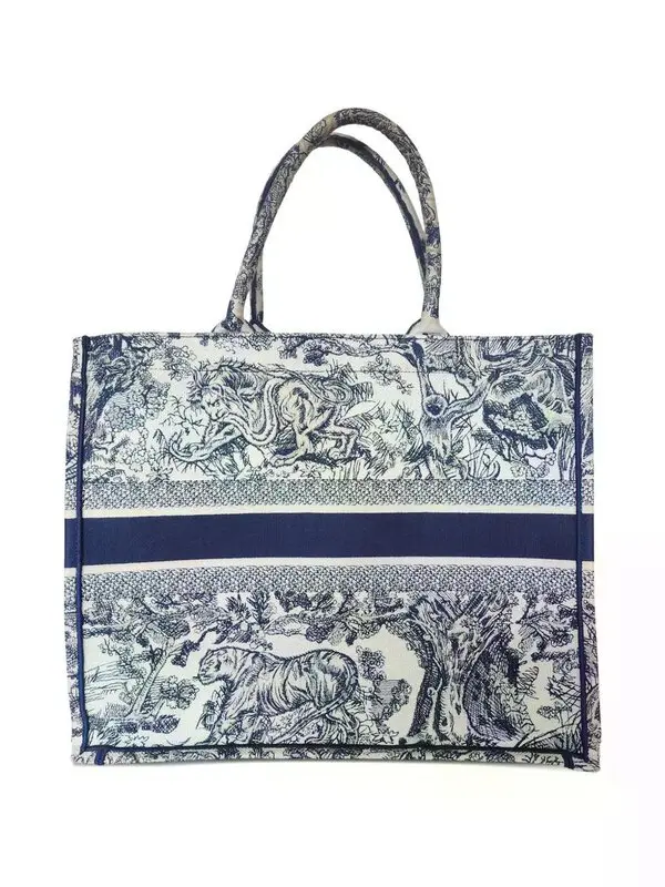 Dior Small Book Tote Bag