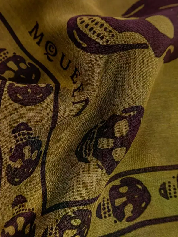 Alexander McQueen Skull-print Scarf - Brown