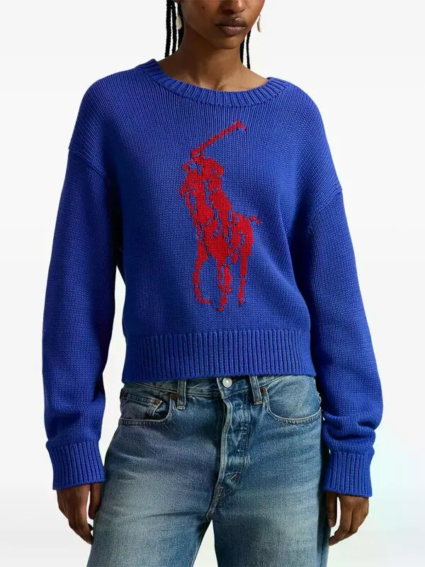 Polo Ralph Lauren Big Pony Crewneck Sweater