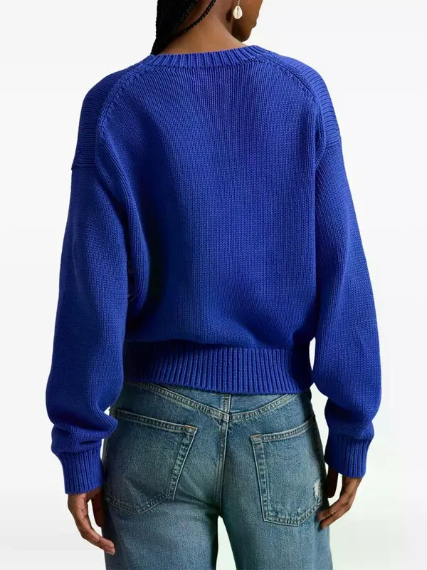 Polo Ralph Lauren Big Pony Crewneck Sweater