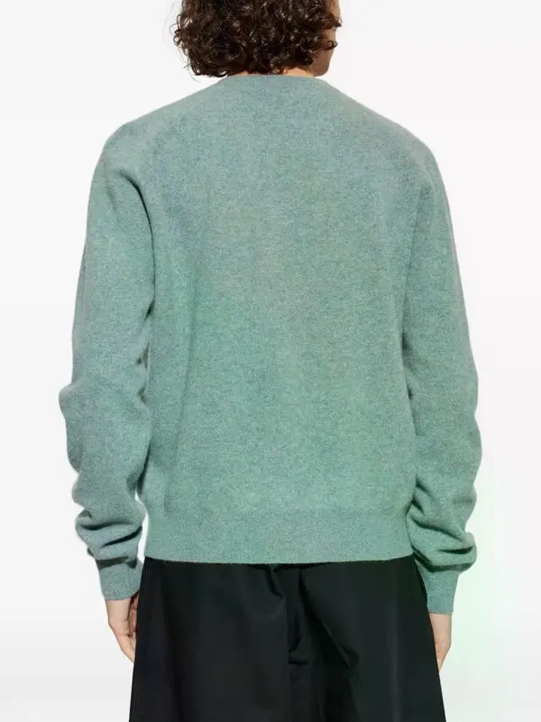 Alexander McQueen Crew-neck Wool Sweater