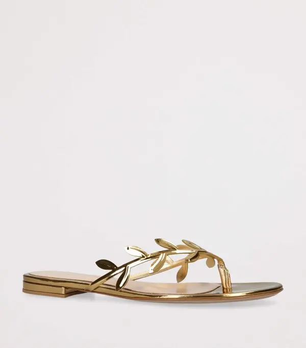 GIANVITO ROSSI Laurel Detail Flavia Flip-flops - Brown