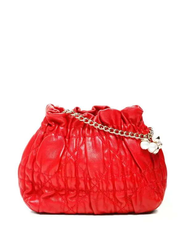 Dior Mini Canage Shoulder Bag