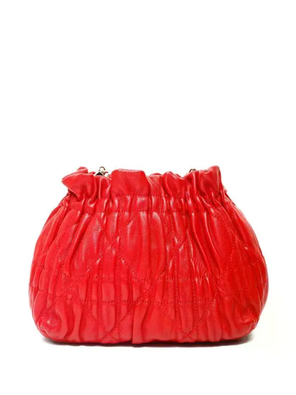 Dior Mini Canage Shoulder Bag