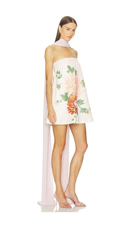 SAU LEE Ruby Printed Dress With Detachable Scarf