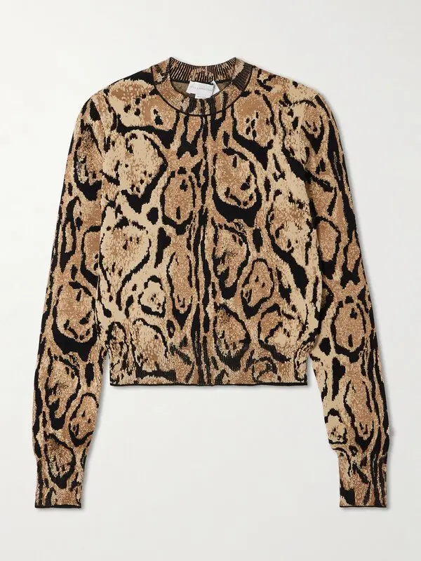Stella McCartney Cloud Jacquard-knit Leopard Print Sweater - Multi