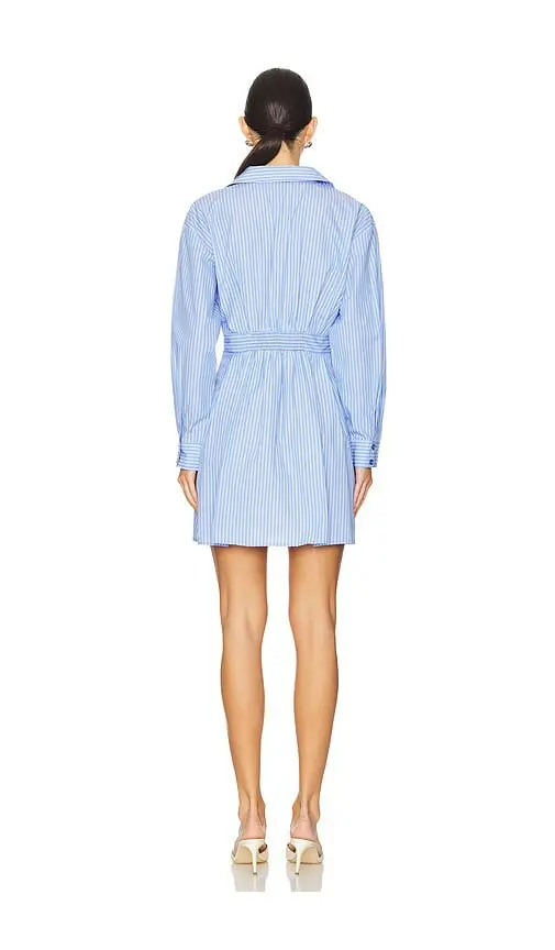Steve Madden Aria Dress