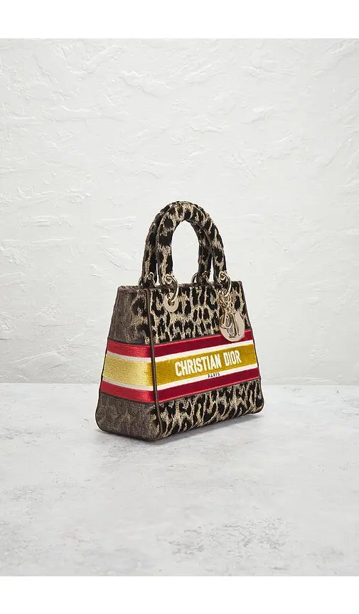 FWRD RENEW Dior Lady D-lite Handbag