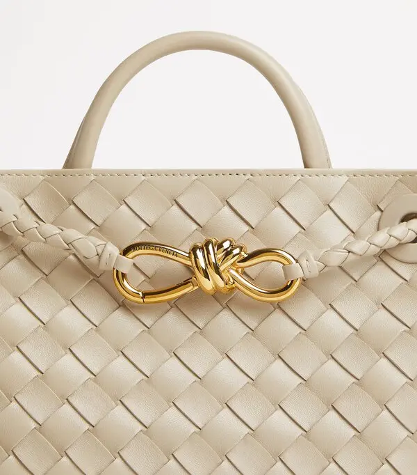 Bottega Veneta Small Andiamo Top Handle Bag