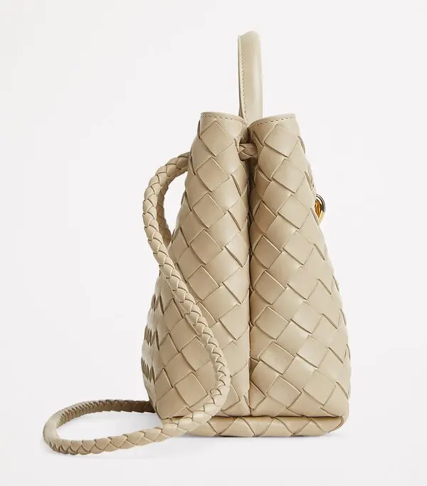 Bottega Veneta Small Andiamo Top Handle Bag